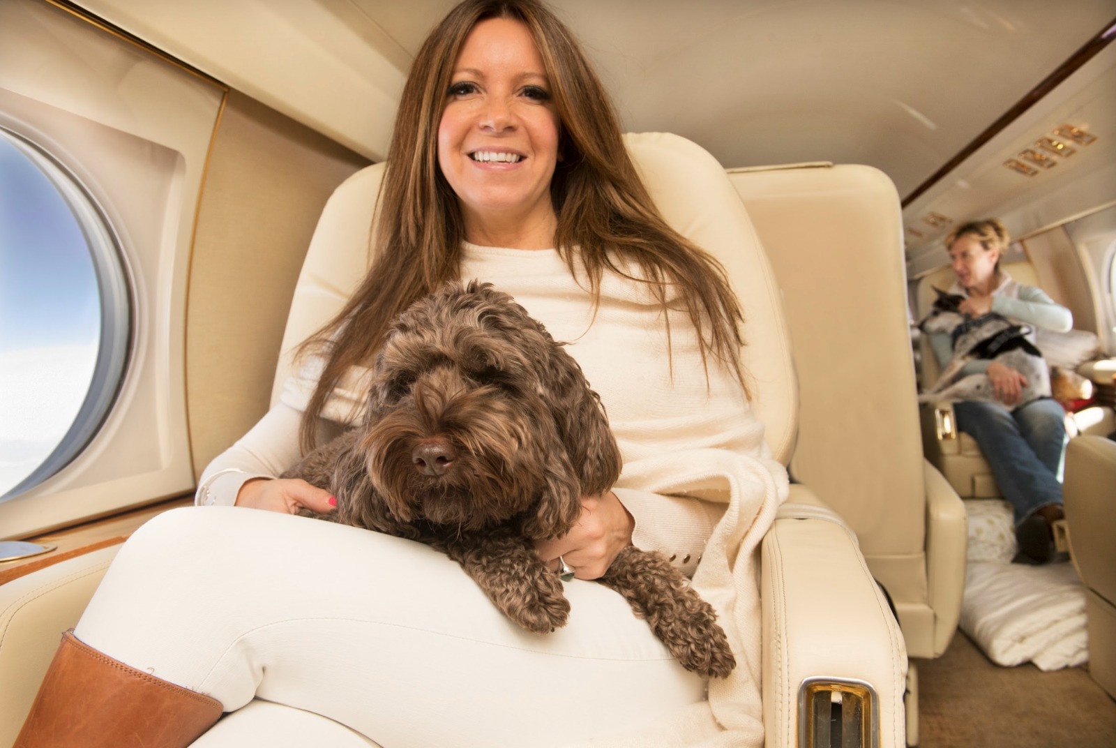 New private jet service for dogs on Dubai- London route - Arabia Travel ...