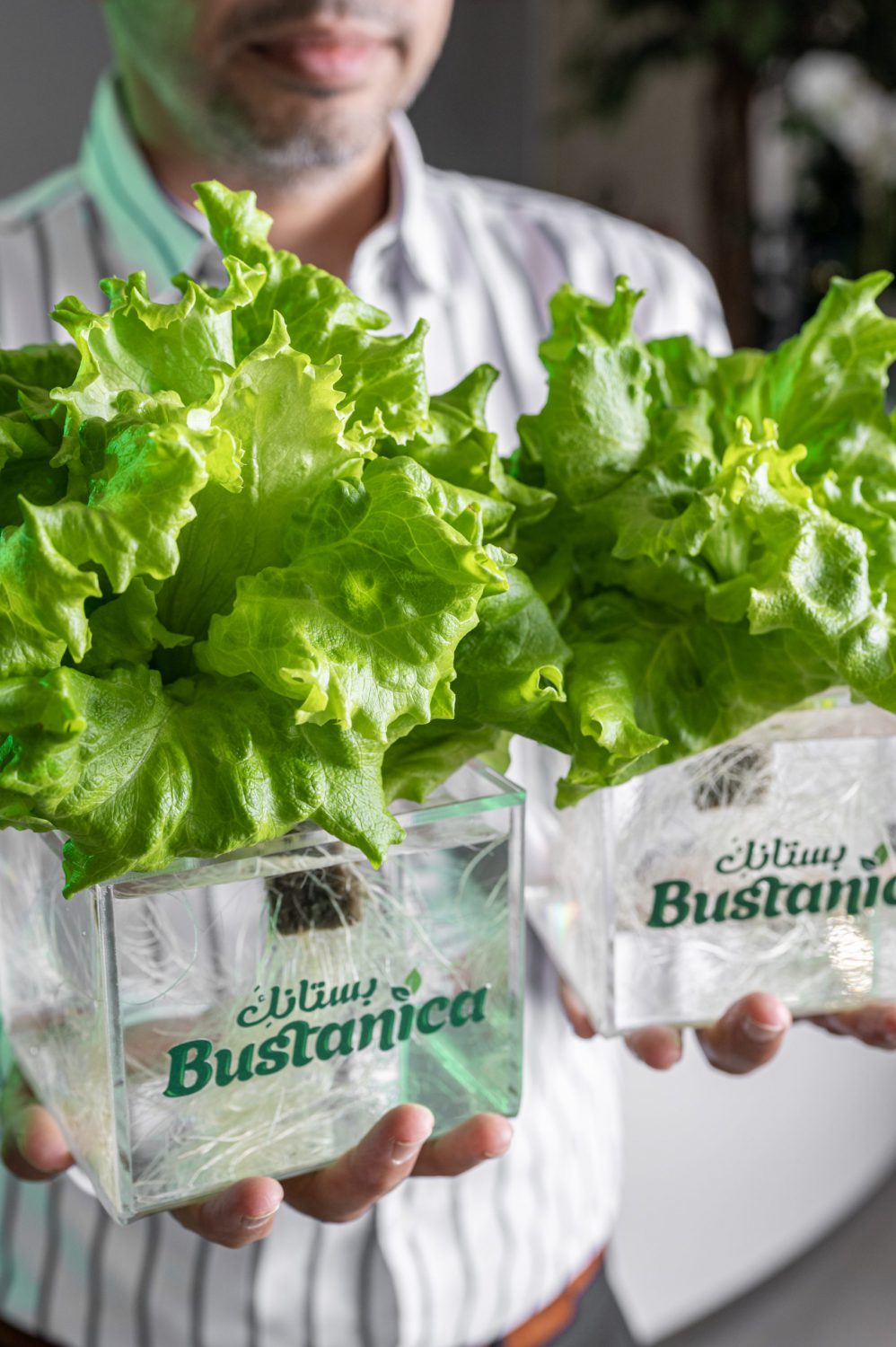 Emirates Catering acquires Bustanica, world’s largest indoor vertical ...